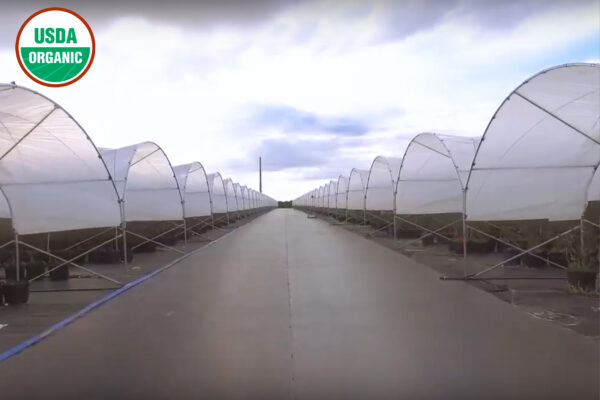 Real Organic Difference - Real Organic Project
